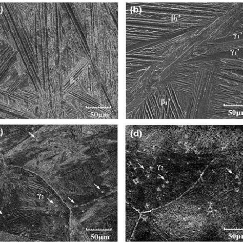 Optical Micrographs Of Cu Al Ni Alloys A Cu Al Ni B Cu