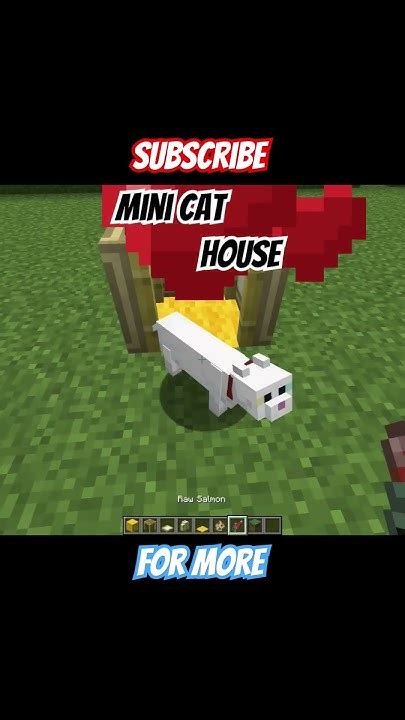 Mini Cat House How To Make Cat House Minecraft Youtube