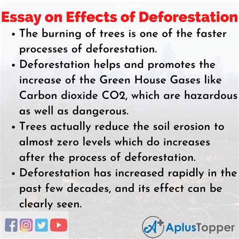 Essay On Effects Of Deforestation Effects Of Deforestation Essay For