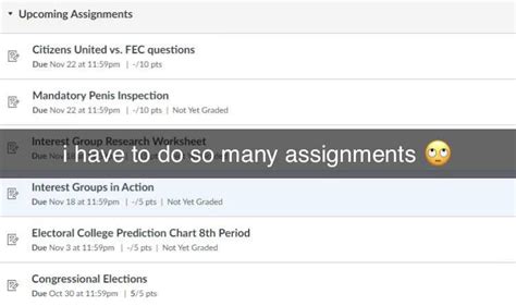 So Many Assignments Rfunny