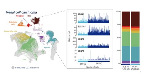 The NeXt Generation Of Single Cell RNA Seq An Introduction To GEM X Technology GENESMART CO LTD