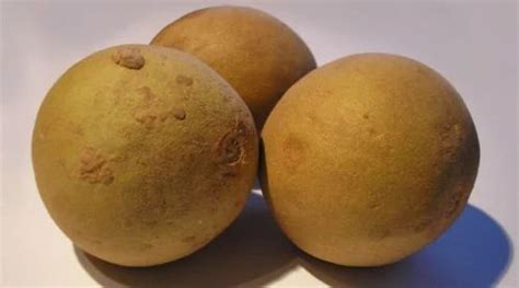 Fresh Chikoo At Best Price In Mumbai By J C Fruit Center Id 12262195997