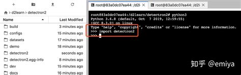 Detectron2 02 部署环境和安装 知乎