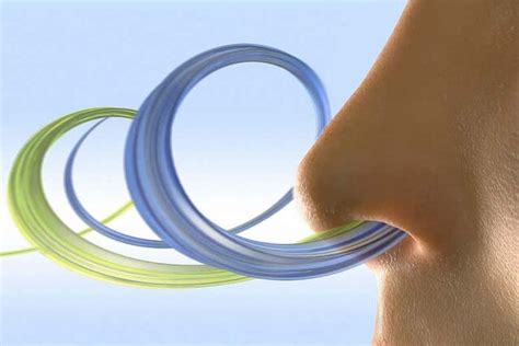 نحوه تقویت حس بویایی بعد از بهبود عفونت‌های ویروسی ایسنا