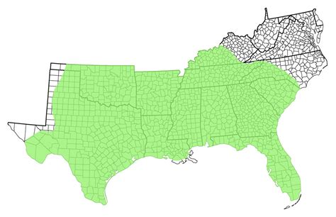 Dasypus Novemcinctus Nine Banded Armadillo Wildlife Of The American