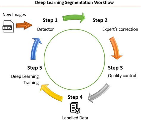 Workflow For The Deep Learning Segmentation Step 1 New Images Were