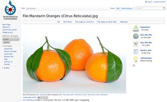 Commons Reusing Content Outside Wikimedia Wikimedia Commons