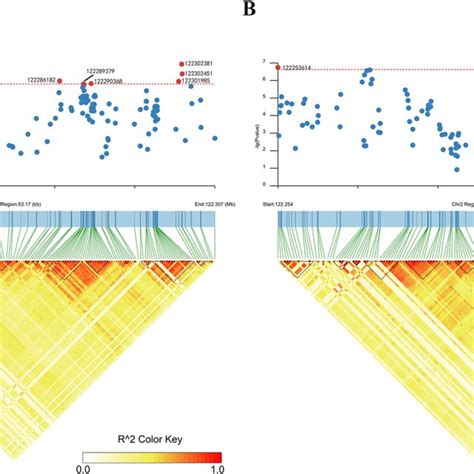Locus Specific Manhattan Plot And Linkage Disequilibrium Analysis For Download Scientific