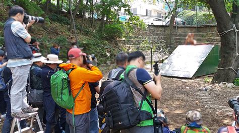 제26회 인천전국세미누드사진촬영대회 다녀왔습니다 네이버 블로그