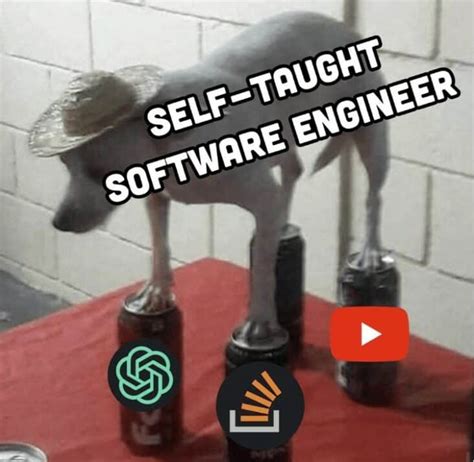 35 Funny Coding Memes For Computer Wizards And Programming Dorks August 25 2024