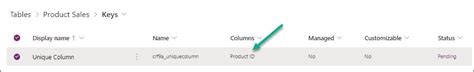 Dataverse Primary Name Column Autonumber Spguides
