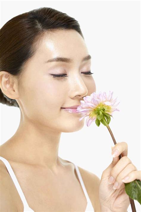 The Neural Basis Of Odour Concentration Invariance