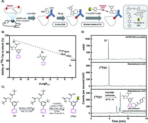 A Visualization Of The Blocking Assay Tumor Bearing Mice Were First Download Scientific A Visualization Of The Blocking Assay Tumor Bearing Mice Were First Download Scientific