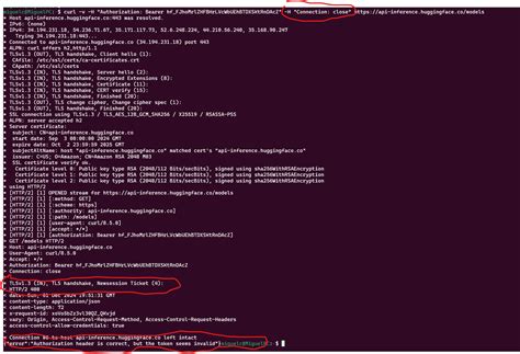 Assistance With 401 Unauthorized Error For Api Access Beginners Hugging Face Forums