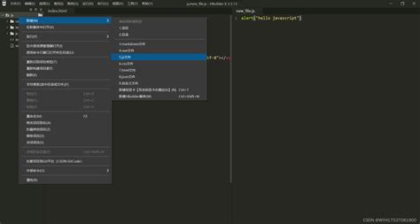 Javascript入门第一课使用嵌入式进行引入js代码时 Csdn博客