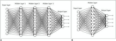 shallow neural networks bridging complexity and simplicity in machine