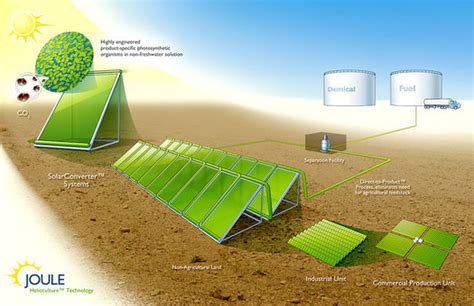 Genetically Modified Algae Could Produce The Fuel Of The Future The