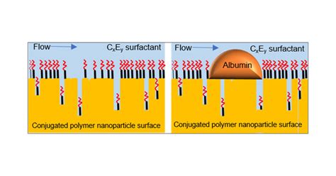 Influence Of The Surfactant Structure On Photoluminescent π Conjugated Polymer Nanoparticles