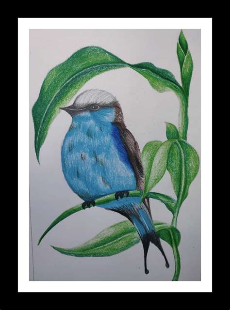 Sketch Drawing For Class Cheap Wholesale