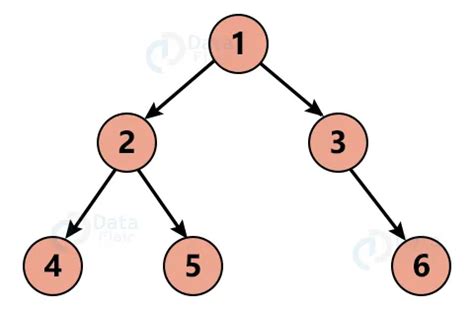 How To Use Binary Tree Data Structure For Beginners