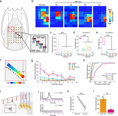 Comparison Of Fringing Field Effects During Stimulation In Vivo And In Download Scientific
