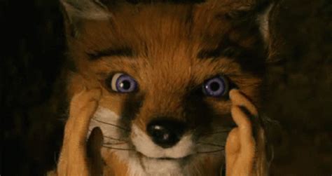 Fantastic Mr Fox Dance Gif Fantastic Mr Fox Dance Gif
