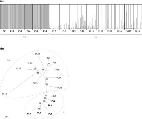 A Bar Plot Showing Clustering Of Individuals By Structure With K2 B