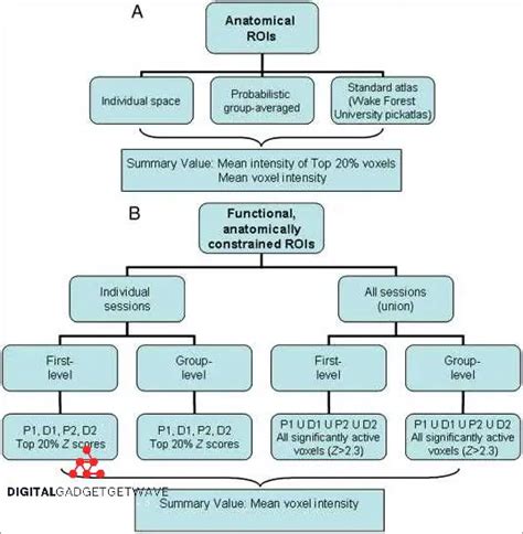 A Comprehensive Guide To Regions Of Interest Definition Examples And Applications Updated