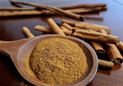 How To Use Tree Bark For Survival Survival Life