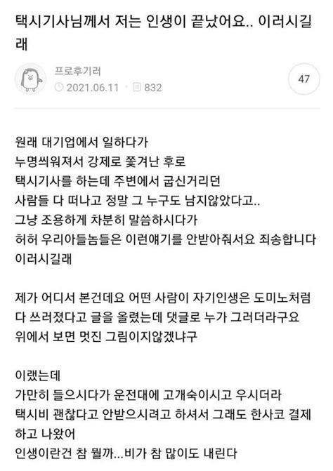 짤주워오는계정 On Twitter 택시기사님께서 저는 인생이 끝났어요 이러시길래
