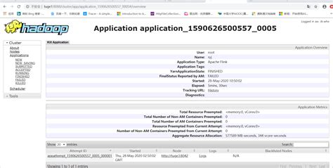 Flink Yarn Org Apache Flink Runtime Jobmana