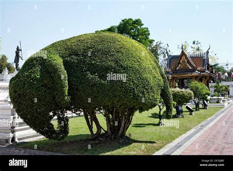 Thailand Bangkok Yai District Arun Temple Wat Arun Ratchawararam Tree Shaped Like An
