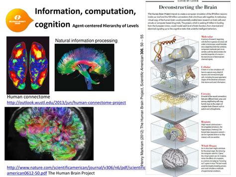 Ppt Modeling Life As Cognitive Info Computation Powerpoint
