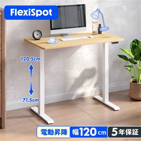 昇降デスク 電動 Flexispot Ej2 スタンディングデスク オフィスデスク 昇降 電動昇降デスク 昇降式デスク 電動 昇降式 デスク
