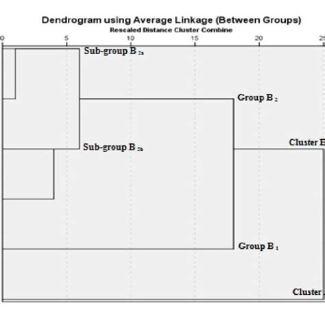 Dna Banding Patterns Generated By Different Issr Pcr Primers M 1kb Download Scientific