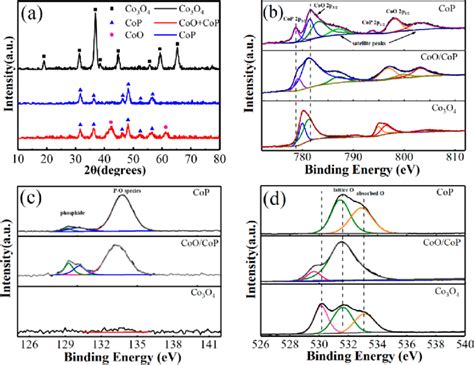 Xrd Patterns Of Co 3 O 4 Coo Cop And Cop A And Xps Spectra Of Co