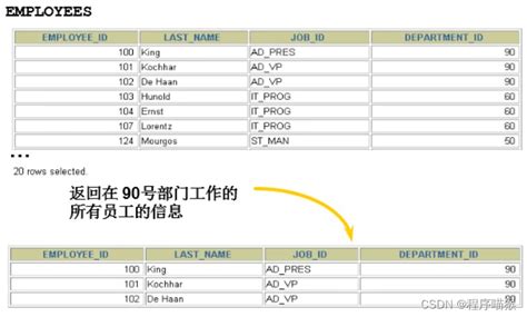 mysql08——基本的select语句 数据库slect语句字母一定要大写吗 csdn博客