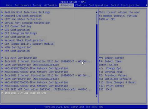 Intel Vroc Installation And Raid Creation On Asus Server