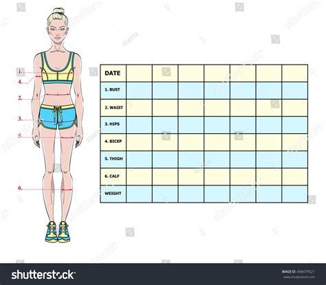 Measurement Chart Body Parameters Sport Diet Stock Vector Royalty Free