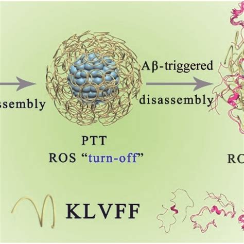 Schematic Illustration Of The Self Assembly Process And Aβ Triggered