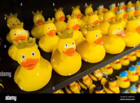 Rubber Duck Display In A Shop Specialising In A Full Range Of Rubber Ducks Old Town Split