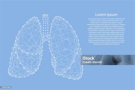 폐 배너 포스터 인사말 카드에 대 한 추상적인 미래 다각형 흰색 선과 파란색 배경에 점에서 호흡의 인간 장기 벡터 일러스트입니다 폐에 대한 스톡 벡터 아트 및 기타 이미지