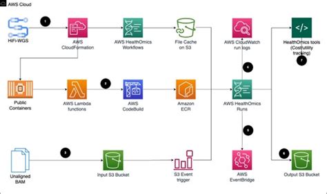 Benchmarking Pacbio Whole Genome Sequencing Variant Pipeline Analysis