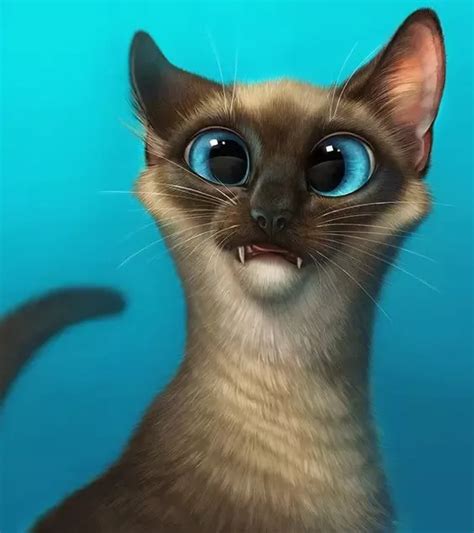 15 Funny Siamese Cats To Brighten Up Your Day Cats Illustration Cat