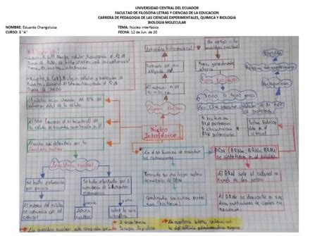 Deber 1 Mapa Conceptual Nucleo Interfasico Pdf