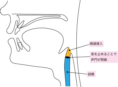【押さえておきたい！】摂食嚥下③【間接訓練】11の訓練方法をまとめて整理してみよう！ デンスタ あなたの歯学スタディポータル