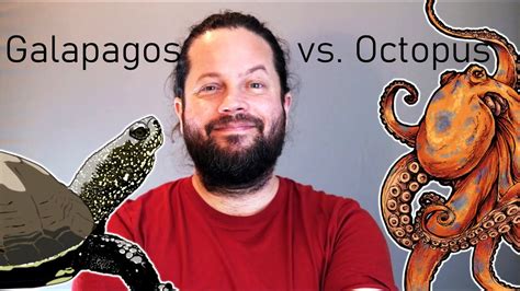 Multi Objective Optimization With Octopus Tiny House Challenge 02