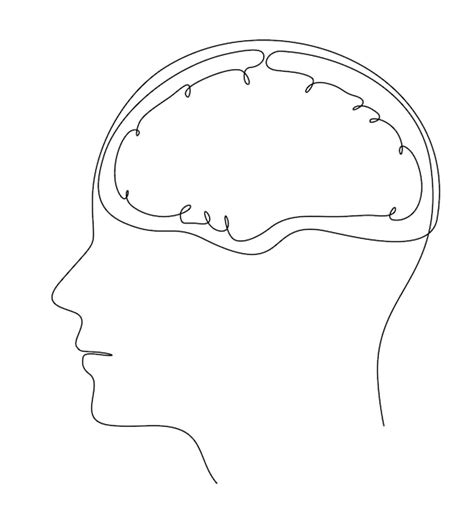 Premium Vector Continuous Line Drawing Of Human Head And Brain