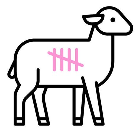 How To Count Sheep The New York Times