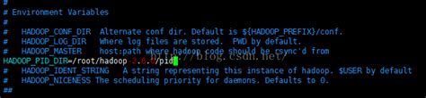hadoop的pid路径问题 配置 hadoop datanode的pid文件位置 csdn博客